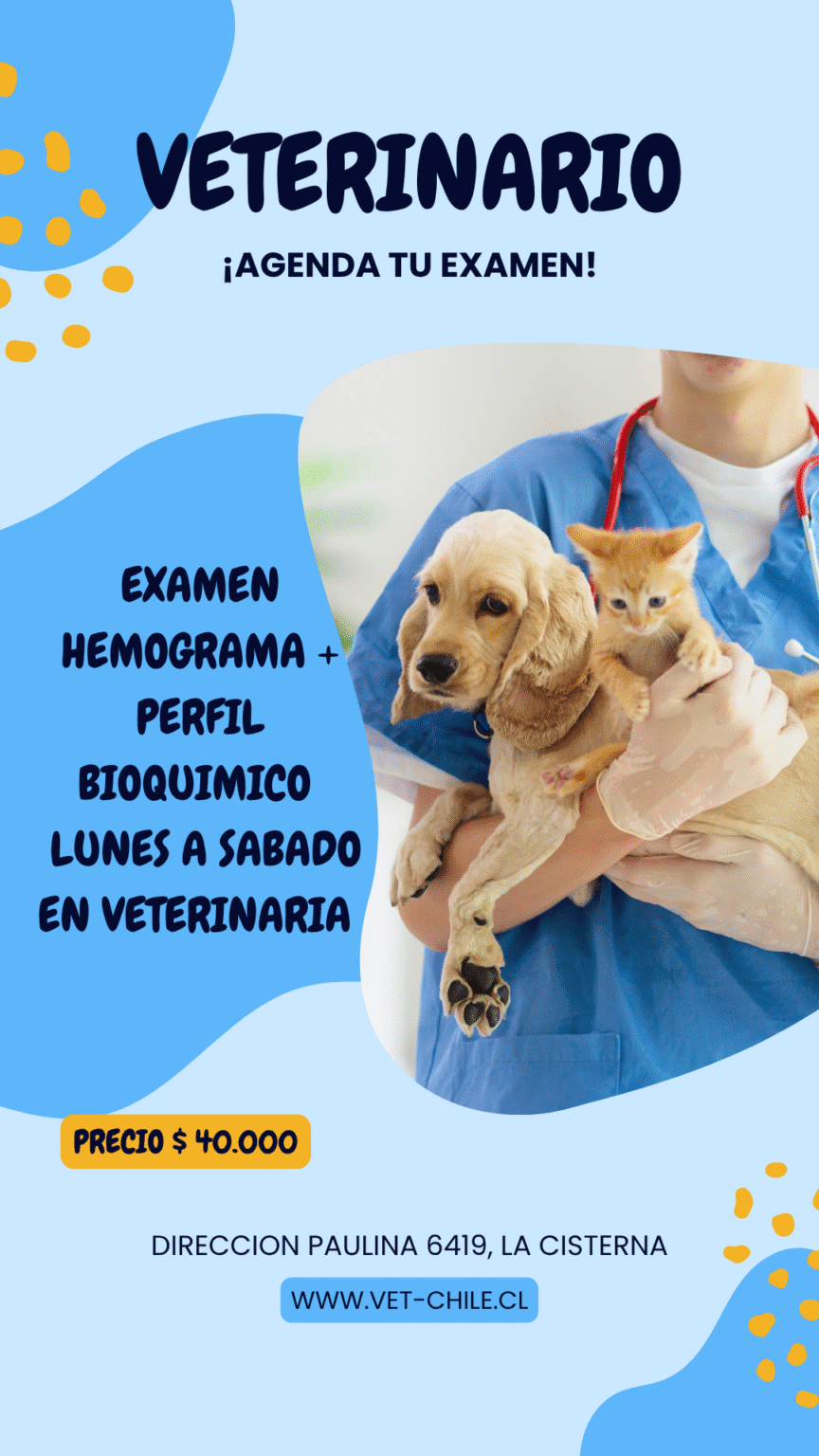 EXAMEN HEMOGRAMA + PERFIL BIOQUIMICO DE LUNES A SABADO EN VETERINARIA ...